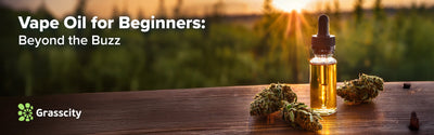 Vape Oil Guide: Types, Uses & Top Beginner Tips – Grasscity